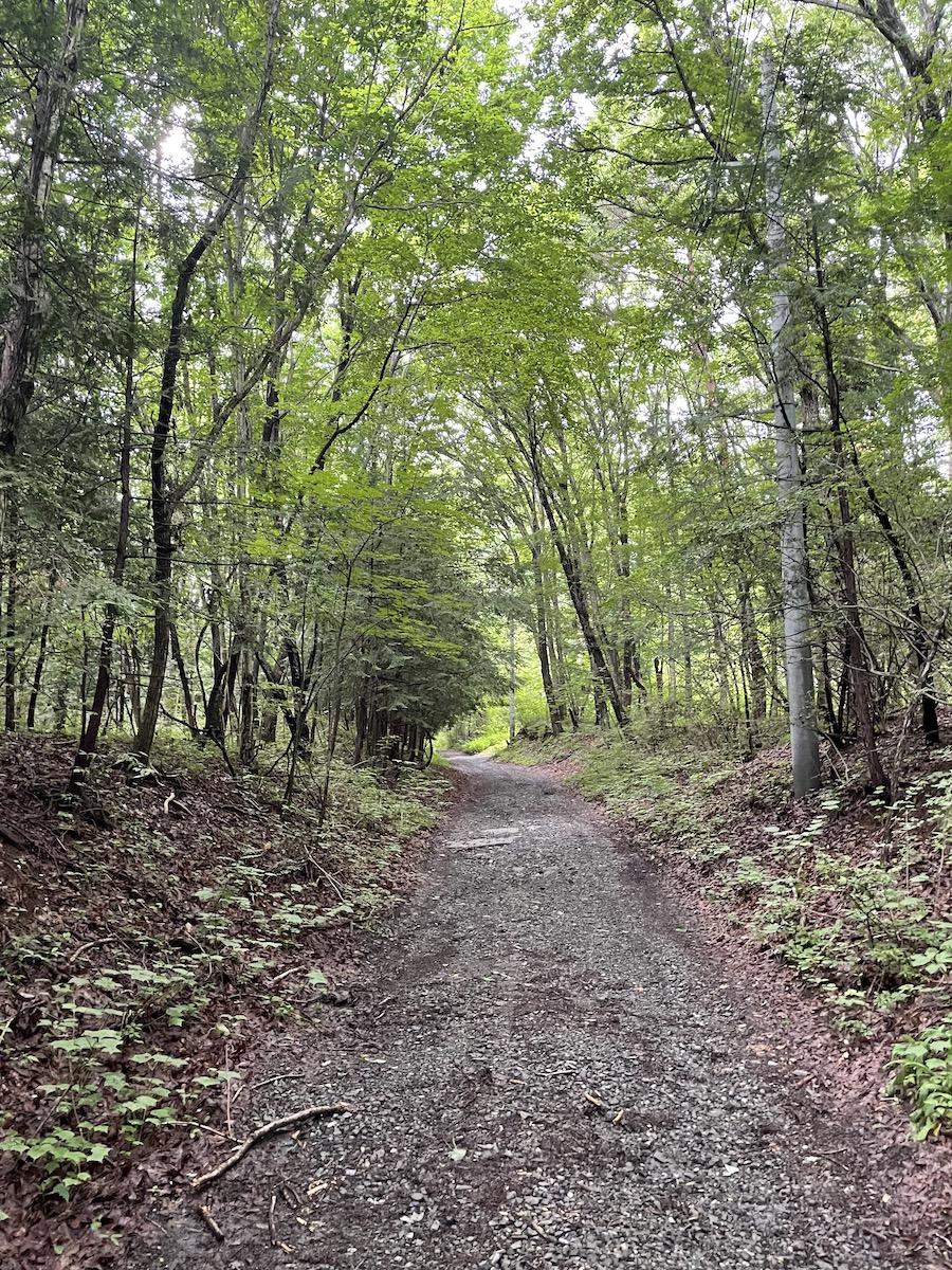 神社の杜のワーキング・プレイス 8MATO マイナス10度の贅沢：ITソリューション塾：オルタナティブ・ブログ