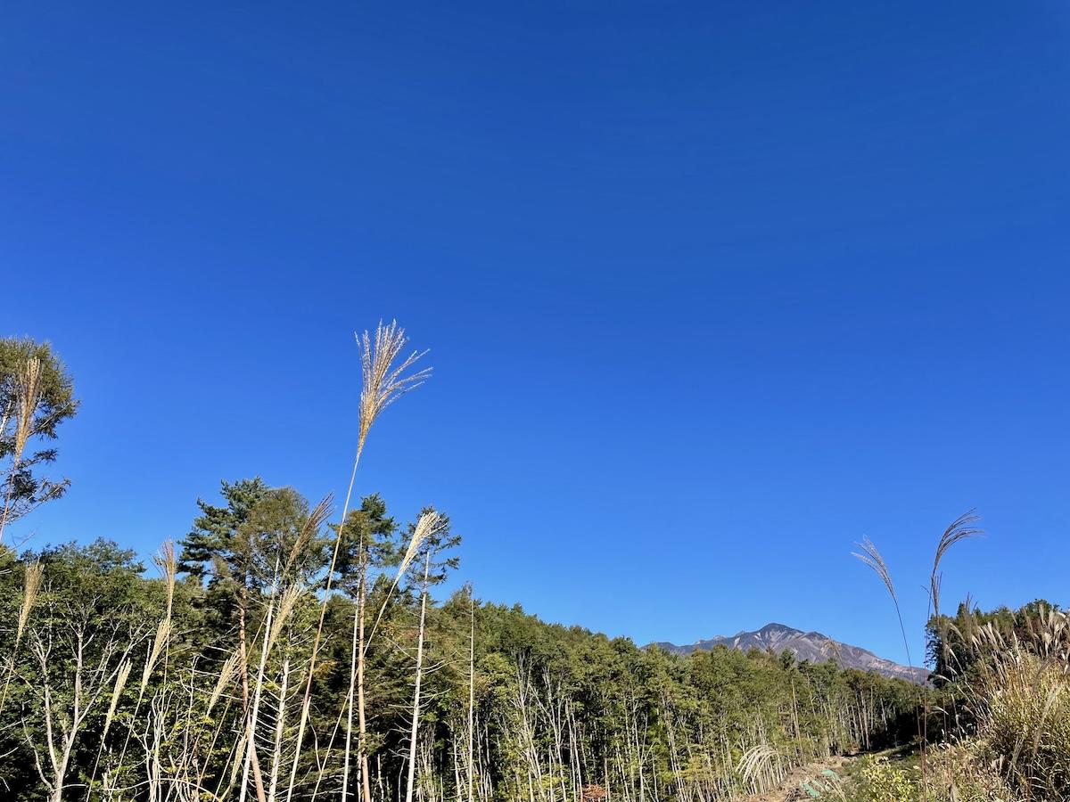 神社の杜のワーキング・プレイス 8MATO 私のファンクラブの女子会と八ヶ岳ブルー：ITソリューション塾：オルタナティブ・ブログ